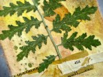 Dyed paper tags – Crafty Rat