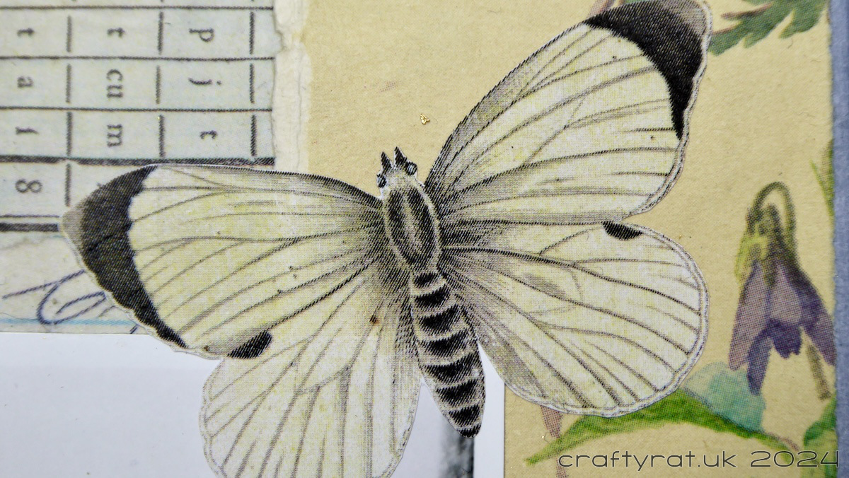 Photo kintsugi – Crafty Rat